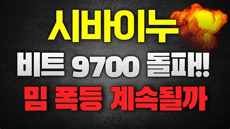 시바이누 코인 비트 9700만원 돌파 밈코인 폭등 계속될까 미치듯이 수익 냅시다 Youtube