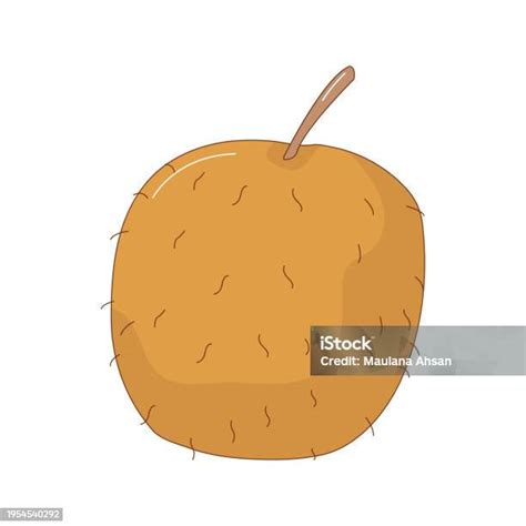 손으로 그린 키 위 과일 벡터 그림입니다 창의적인 손으로 그린 과일 벡터 요소 디자인 개념에 대한 스톡 벡터 아트 및 기타