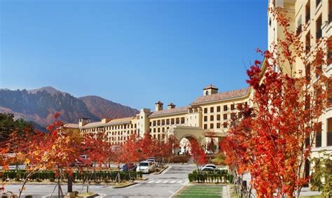 한화호텔앤드리조트 국내 여행 활성화 위한 세일페스타 진행 네이트뷰