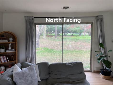 Hanging Plant Recommendation Rhouseplants