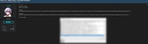 A Threat Actor Has Allegedly Leaked The Data Of Sunat