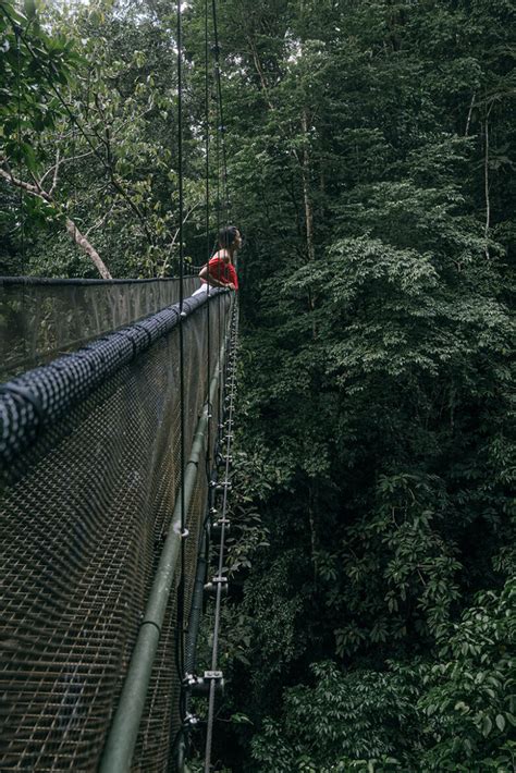 Suspension Bridges El Remanso Lodge