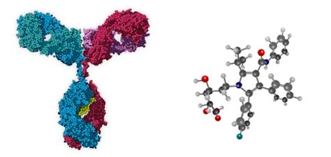 Blending Two Worlds Small Molecule Drugs Vs Biologics