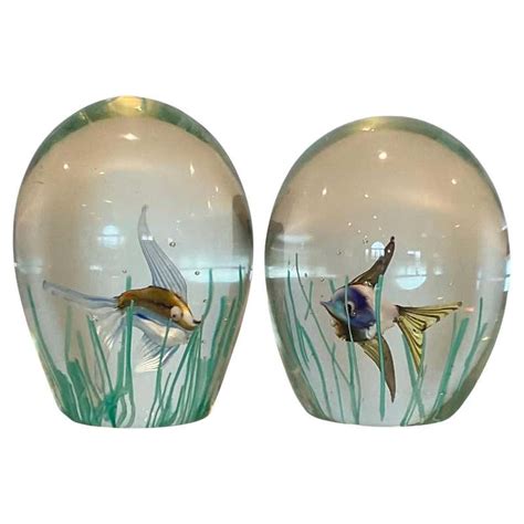 Artistic Handmade Aquarium Murano Glass By Roberto Beltrami For Sale At