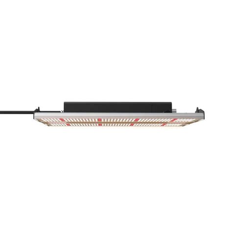 Buy Medic Grow Led Mini Sun 2 240w — Led Grow Lights Depot