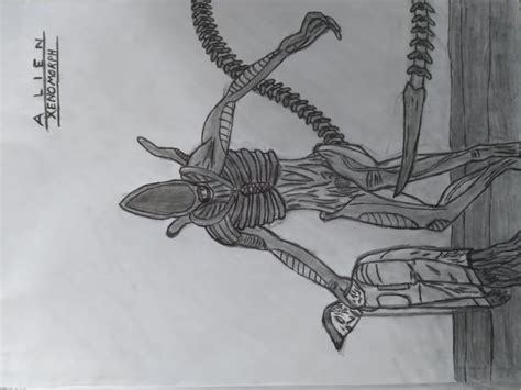 Xenomorph Namek Class Warrior By Me Rxenomorphs