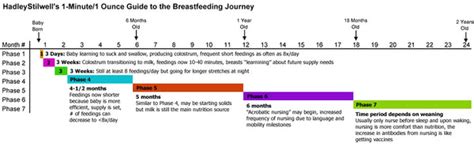 Guide To The Breastfeeding Journey Hadleystilwell
