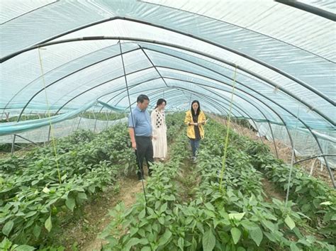 江苏省审计厅 图片新闻 淮安市淮安区审计：关注农业产业富民项目建设情况