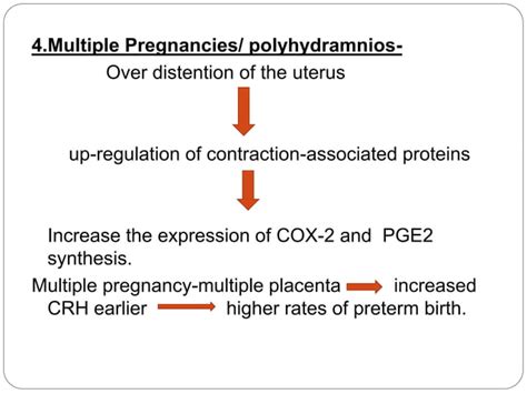 Pathophysiology Of Preterm Labor Pptx Pregnancy Reproductive Health