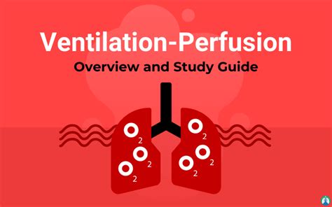 What Is The Ventilation Perfusion Ratio Vq Mismatch Overview