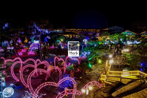 아침고요수목원 나는 무궁화를 볼 때마다 꽃잎 중앙에 있는 빨간 심에 마치 나라를 위해 목숨을 바친 선열들의 피가 서려 있는 듯한 인상을 받는다 특히 흰색 꽃에 빨간