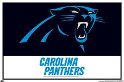 Carolina Panthers Posters Sports Poster Warehouse