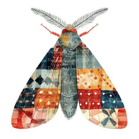 10 Moths Clipart Bundle Png And  Printable Patchwork Moth