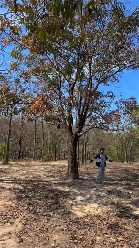 Rashel Khan Joy Rashel Khan Joy • Instagram Photos And Videos