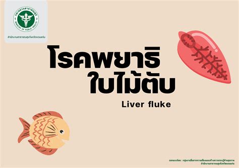 พยาธิใบไม้ตับ สำนักงานสาธารณสุขจังหวัดขอนแก่น