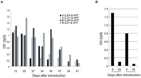 Stat5ber Immortalized Memory B Cells Down Regulate Ig Secretion A Igg Download Scientific