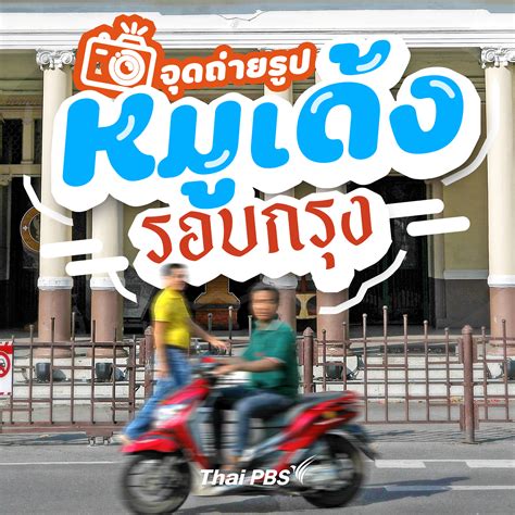 Thai Pbs 🦛 เปิดจุดถ่ายรูปคู่ “หมูเด้งยักษ์” รอบกรุงฯ