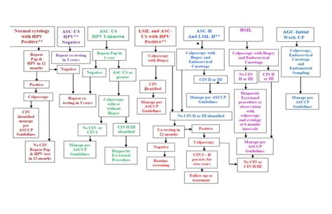 Algorithm For Cervical Screening Pap Abnormalities Wyoming Department Of Health