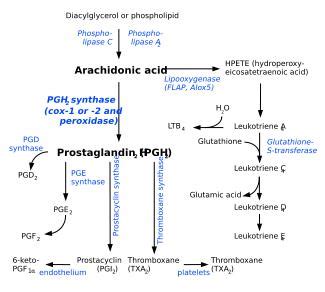 Arachidonic Acid Wikidoc