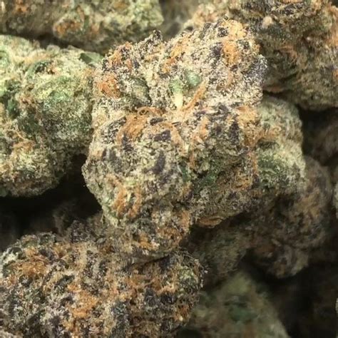 Ace Killa 328 Thca Wholesale Black Label Terp Thca