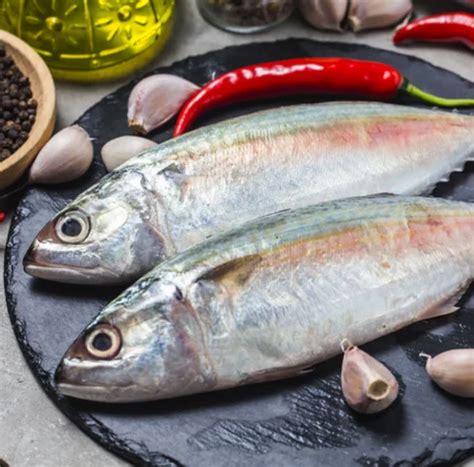 1kg Mackerel Aila Fish For Restaurant At ₹ 300kg In New Delhi Id