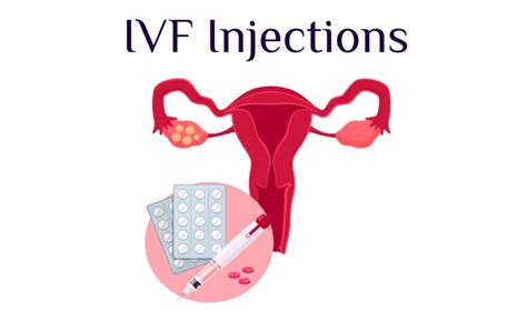 Guide For Complexities Of Ivf And The Significance Of Ivf C 41 Off