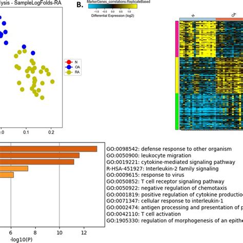 Comparison Between The Synovium Transcriptomics Profile Of Rheumatoid Comparison Between The Synovium Transcriptomics Profile Of Rheumatoid