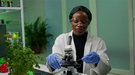 Botanist Woman Looking At Test Sample Under Microscope Observing