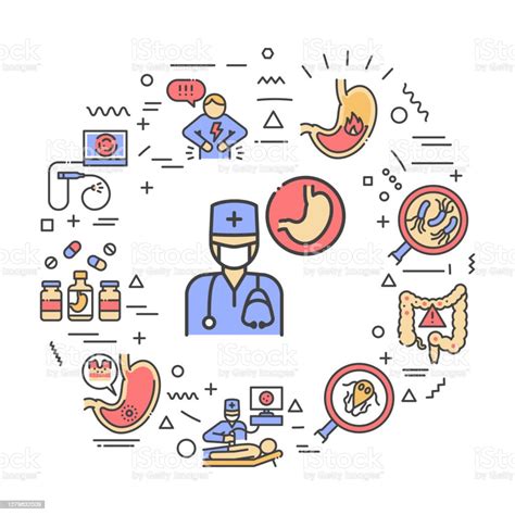 위장학 웹 배너 복부 건강 검진 흰색 배경에 선형 아이콘이 있는 인포그래픽입니다 창의적인 아이디어 개념 격리된 윤곽선 색상 그림입니다 위장병학에 대한 스톡 벡터 아트 및