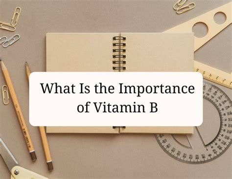 What Is The Importance Of Vitamin B