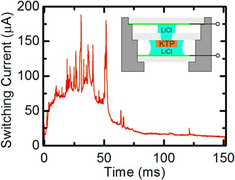 The Typical Switching Current Shape During Polarization Reversal In