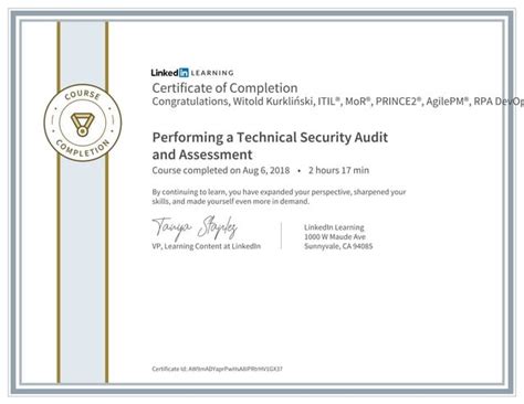 Performing A Technical Security Audit And Assessment Ppt
