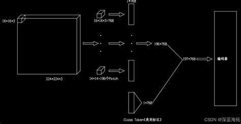 Vit学习笔记（二） Patchposition Embedding阶段的详细推演与理解vit Position Embedding Csdn博客