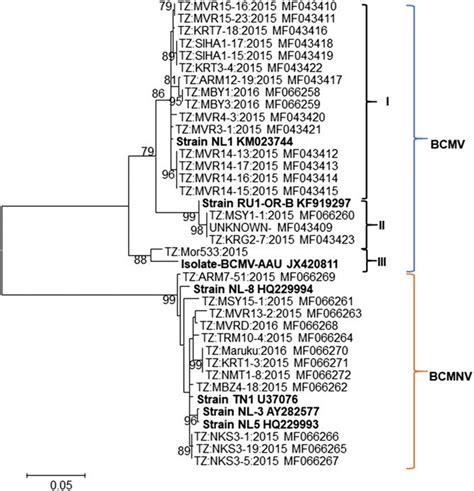Phylogenetic Tree Generated Using The Coat Protein Nucleotide Sequences