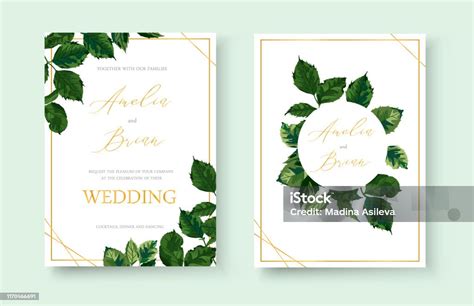 스톡 벡터 웨딩 초대 꽃 초대 감사 Rsvp 현대 카드 디자인 녹색 열대 야자수 잎 1005706003 0명에 대한 스톡 벡터 아트 및 기타 이미지 Istock