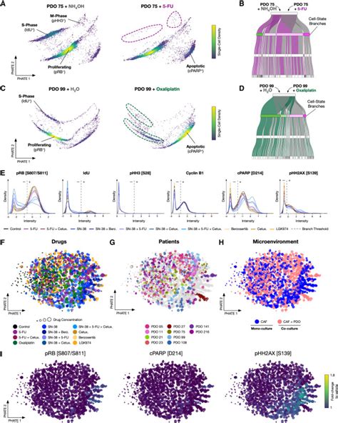 Trellis Tree Based Analysis Reveals Stromal Regulation Of Patient
