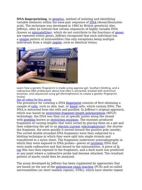 Dna Fingerprinting Pdf Dna Profiling Microsatellite