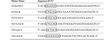 Schematic Diagram Of Recombinant Baculovirus Construct The Vector Was