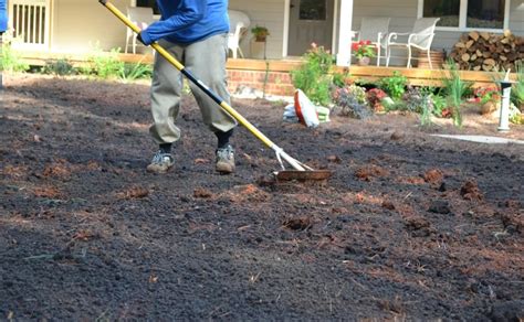 How To Prepare Soil For Sod Installation The Healthy Way Video
