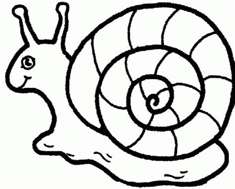 Clip Art Black And White Snail Clip Art Library