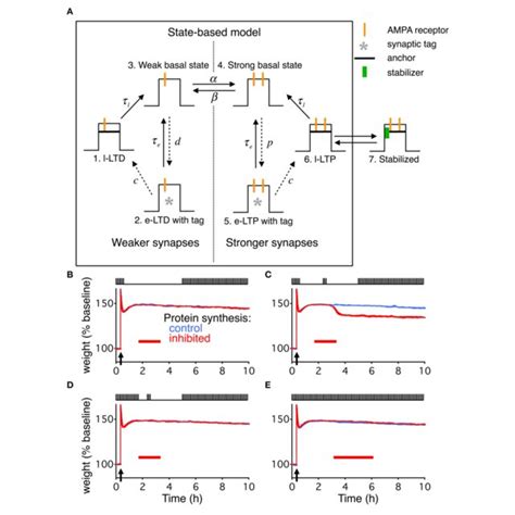 Boundary Conditions For Reconsolidation Mapped Using A Reduced Model Download Scientific