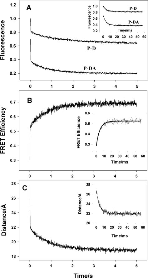 The Kinetics Of Conformational Transition Of The Ctni Inhibitory Region Download Scientific