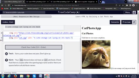 Learn Html By Building A Cat Photo App Step 9 Html Css The Freecodecamp Forum