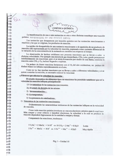 PDF Cinetica Quimica Apunte DOKUMEN TIPS