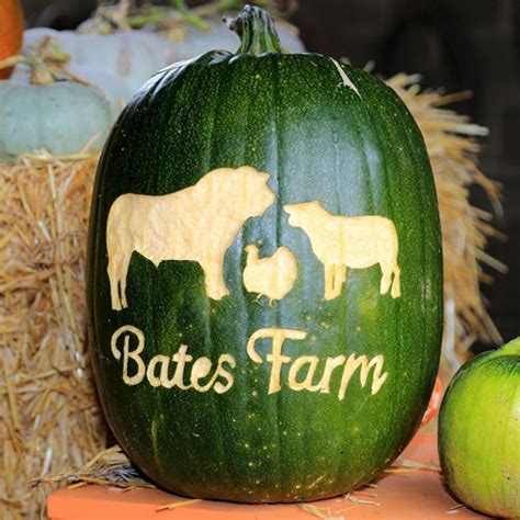 Pumpkin Patch Bates Farm