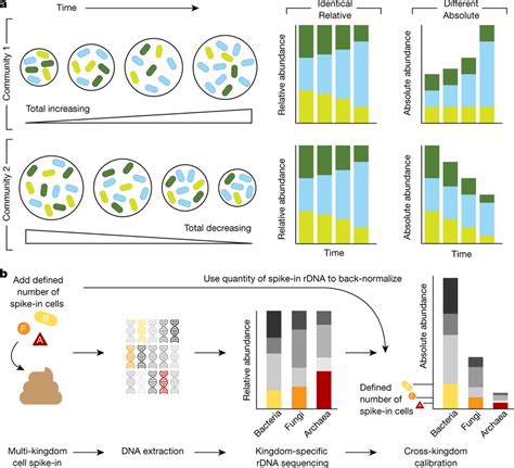 Mk Spikeseq Enables Robust Quantification Of Absolute Abundances A Download Scientific Diagram