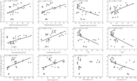 Relationships between soil carbon mineralization rates µg C g d Download Scientific