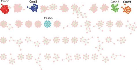 Mcl Clustering Of 1993 Putative Cas Proteins Several Families Are