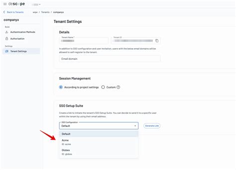 Multiple Sso Identity Providers Per Tenant Descope Documentation