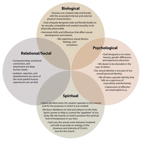 God S Design For Sexuality ACCFS